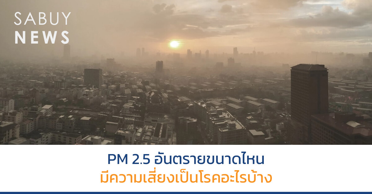 PM 2.5 อันตรายขนาดไหน มีความเสี่ยงเป็นโรคอะไรบ้าง - Sabuynews